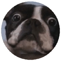 burnout_dog_200x200_circle – Take This